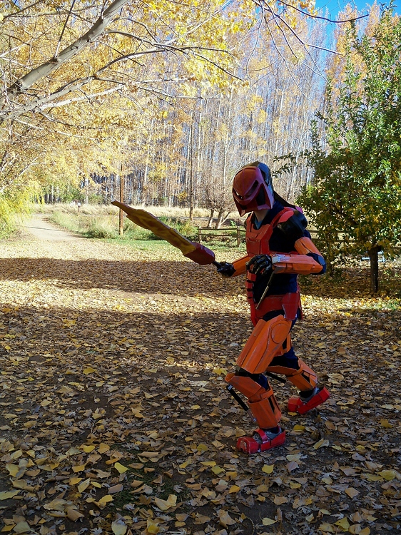 Tahu Cosplay WIP - Artwork - The TTV Message Boards