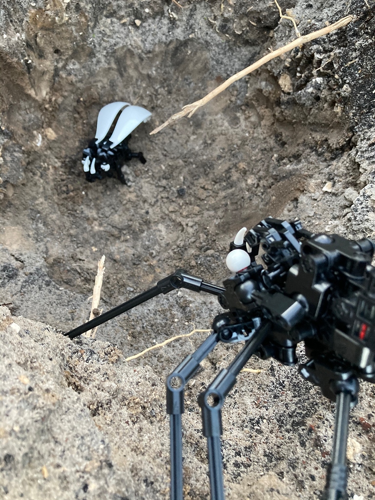 The Spider and the Fly - Lego Creations - The TTV Message Boards