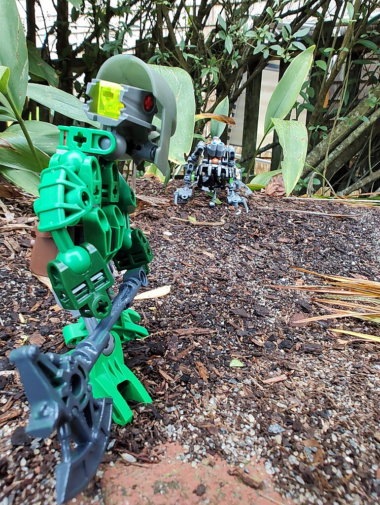 The Jungle, Part Two: Muaka and Stone Rat - Literature - The TTV ...